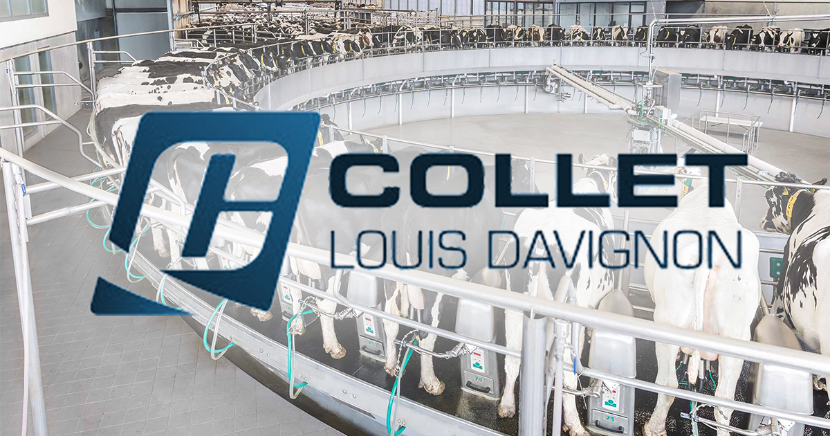 Accueil - Collet élevage